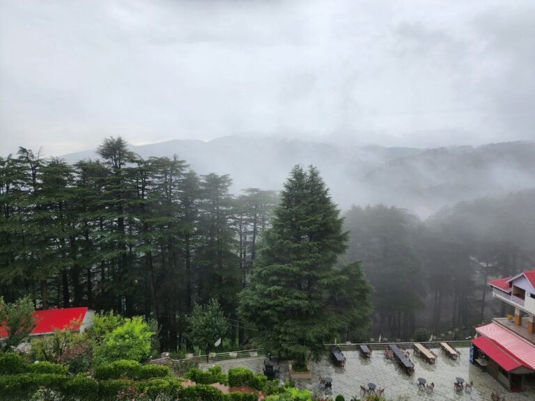 Complete Doodhpathri travel guide | EtourismKashmir.com