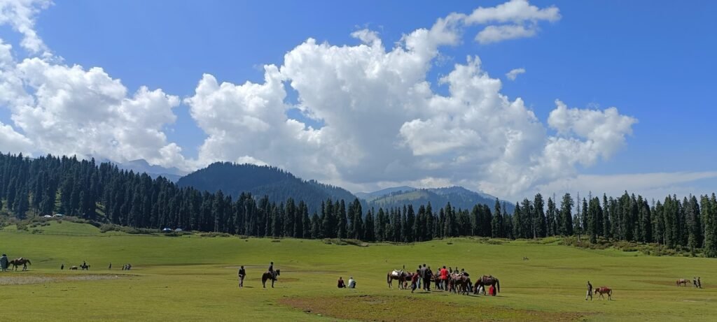 Complete Doodhpathri travel guide | EtourismKashmir.com