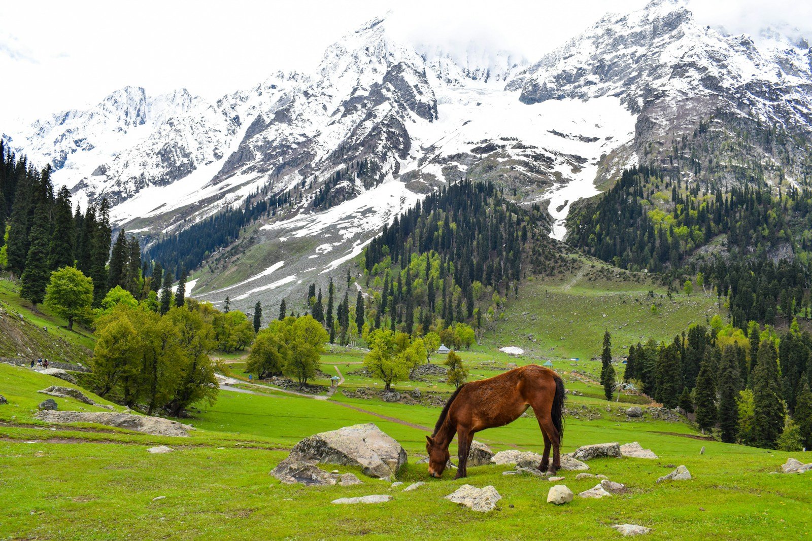 Complete Doodhpathri travel guide | EtourismKashmir.com
